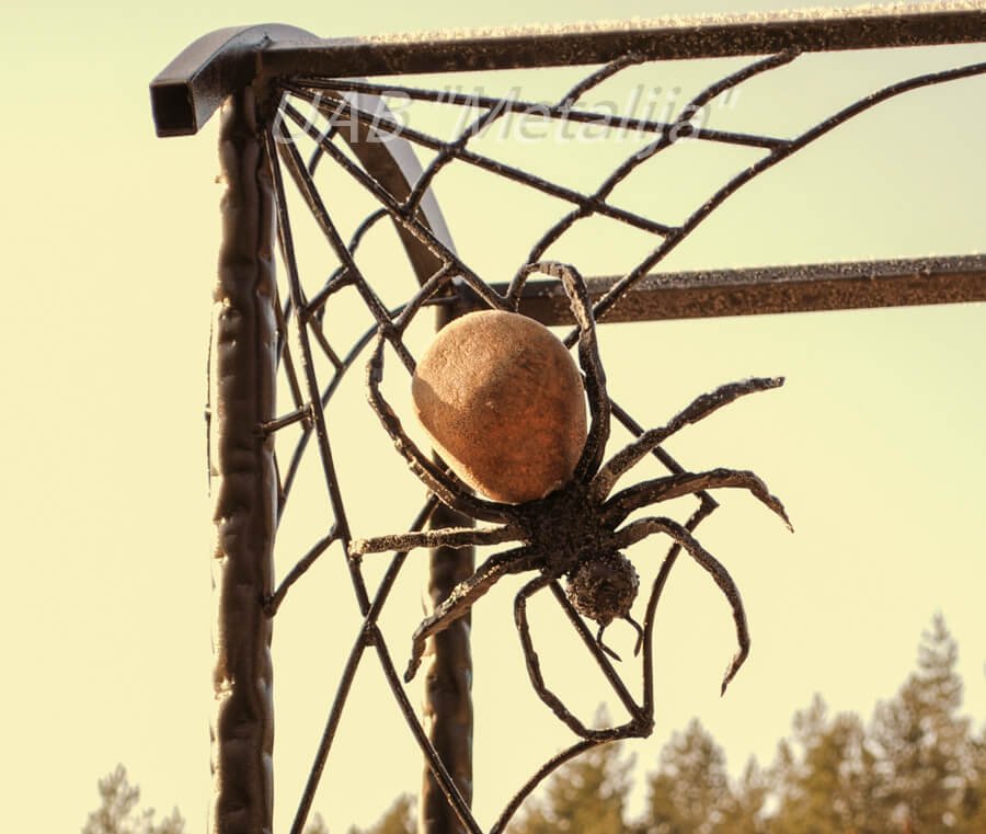 Vorai, musės ir kiti gyvūnai - METALIJA.LT